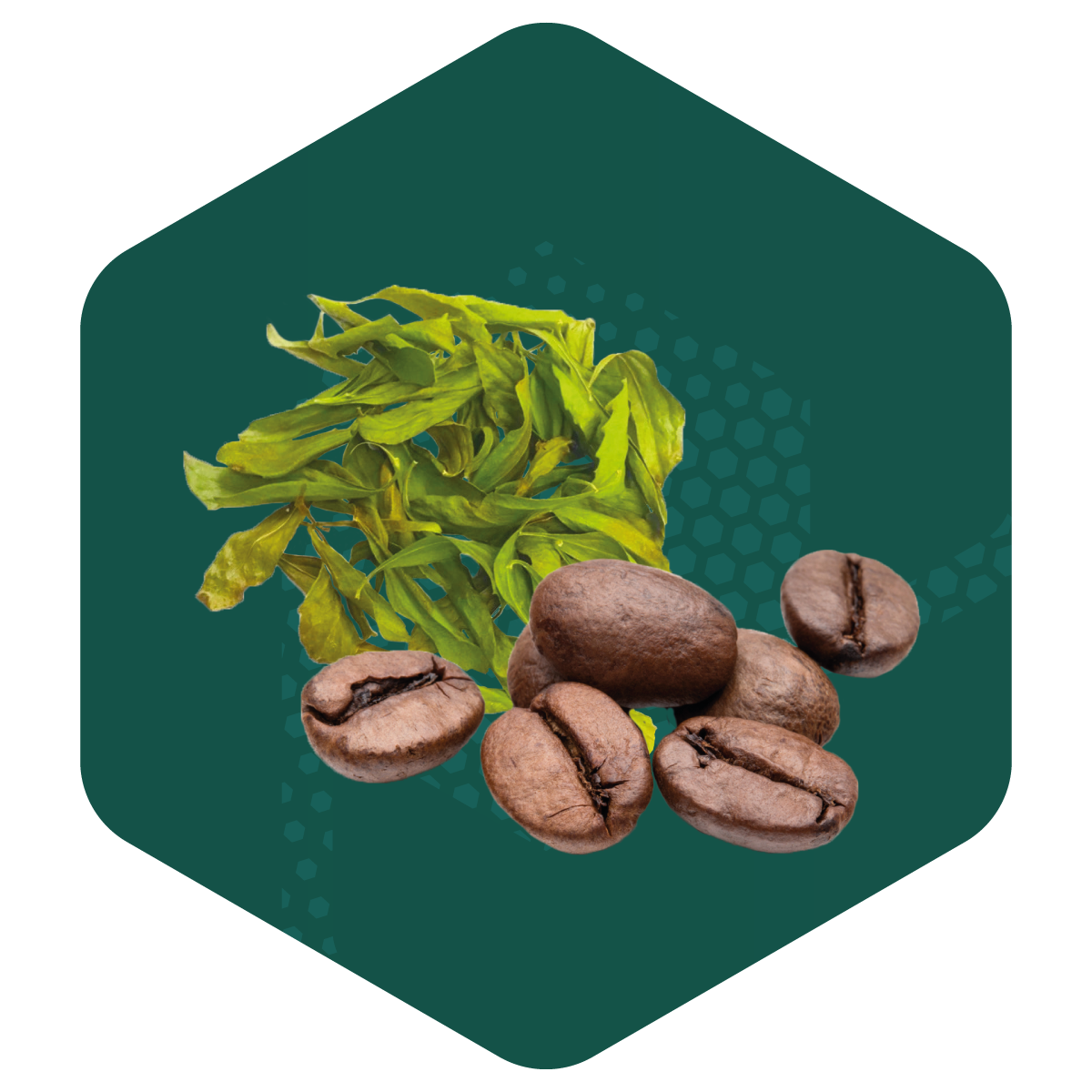 Solpack Packaging Solutions – Solpack Packaging Solutions