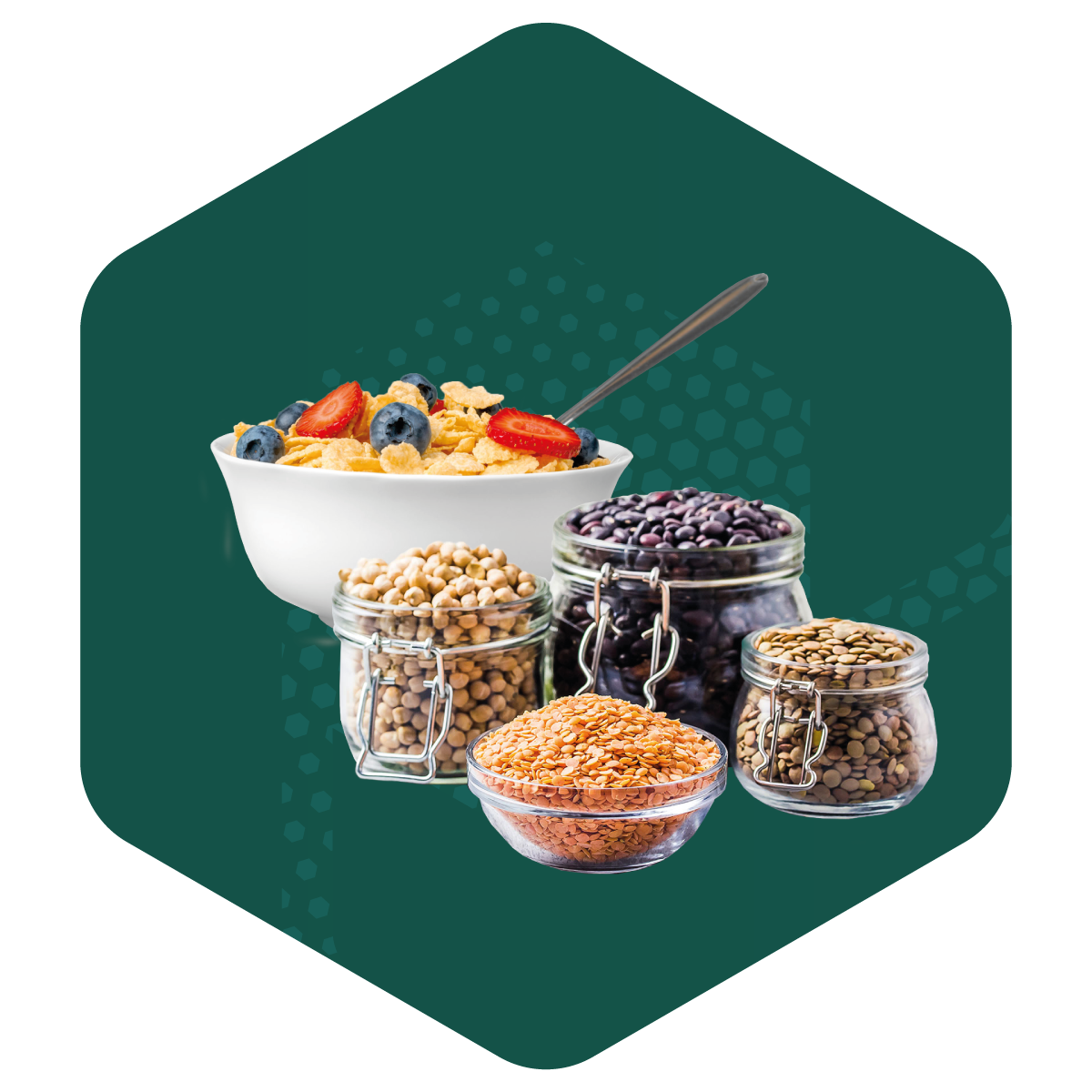 Solpack Packaging Solutions – Solpack Packaging Solutions